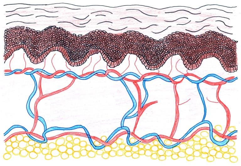 Plantar Warts (Verruca Pedis) - Ankle Foot & Orthotic Centre