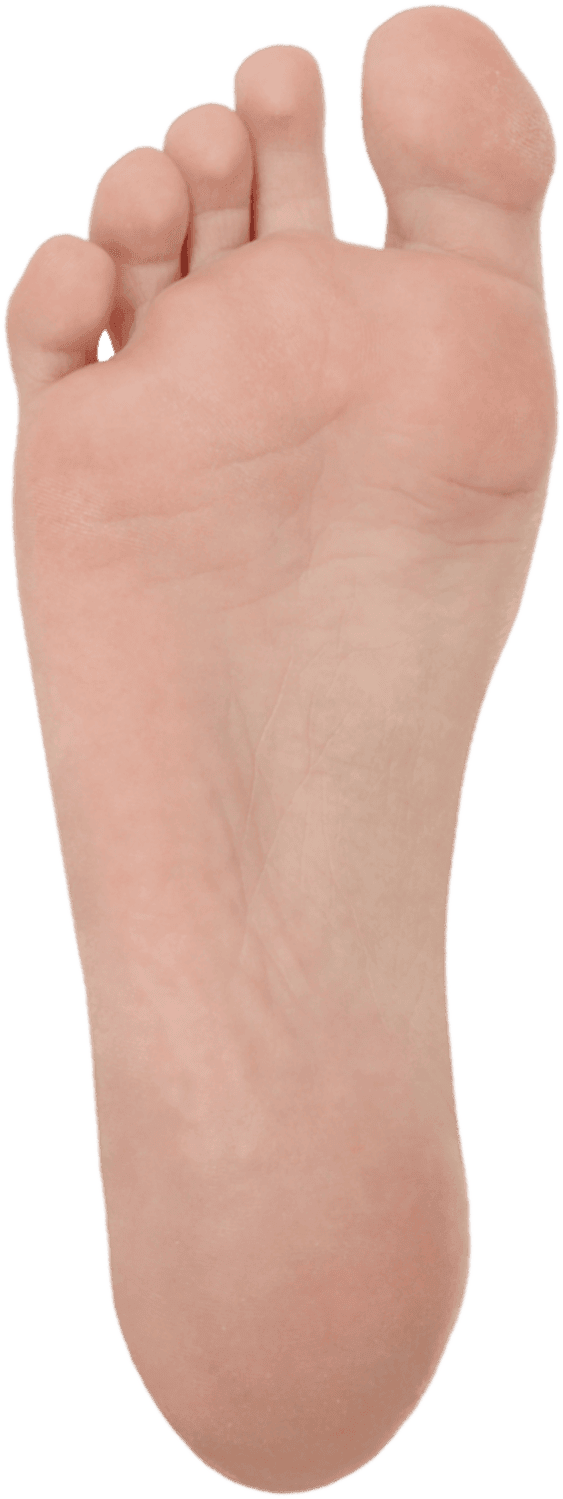 Podiatrist Northcote | Ankle Foot and Orthotic Centre